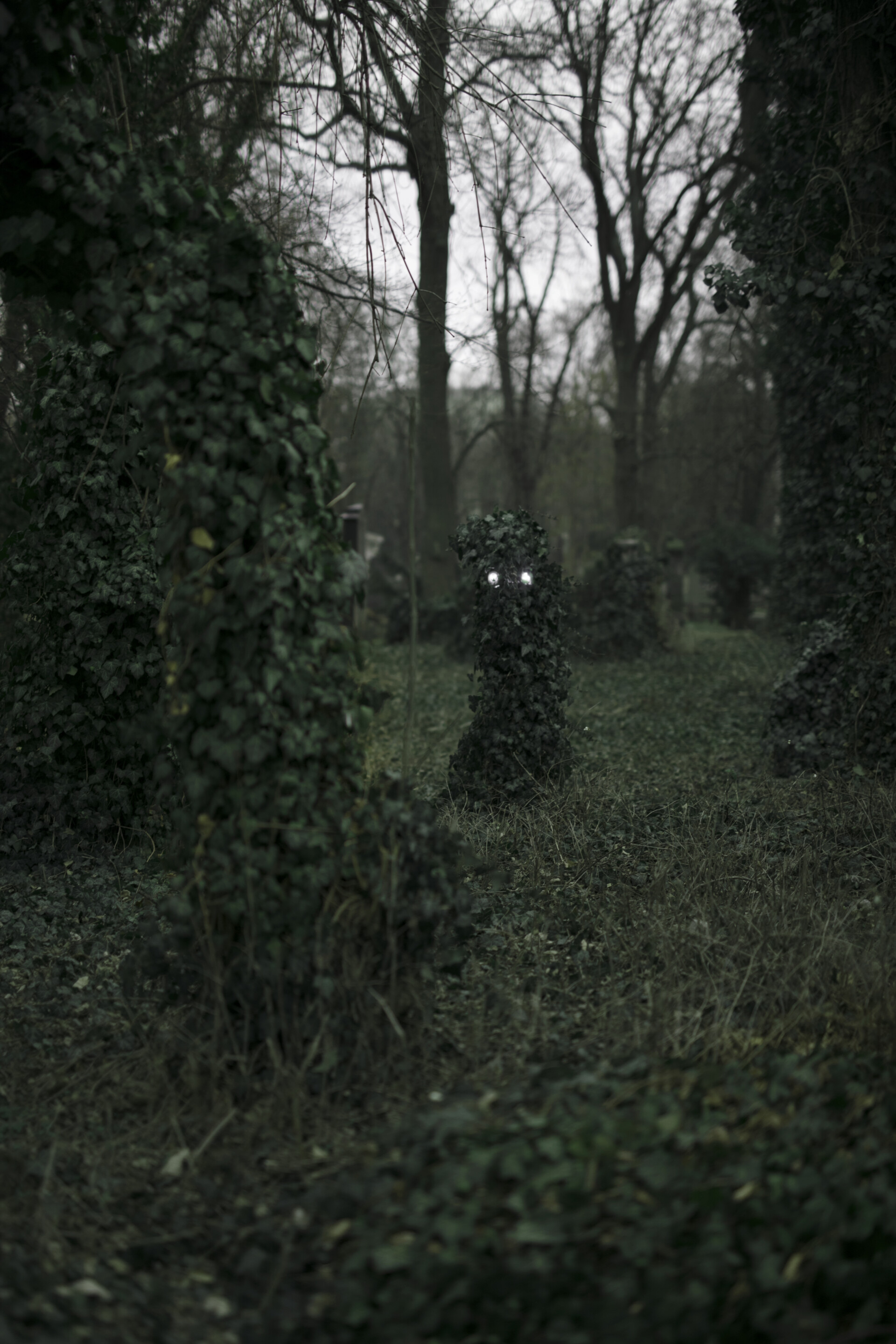 Teres Bartůňková — Ivy guards